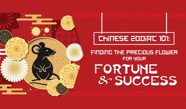 Flowers that will Bring you Luck in 2020 based on Your Chinese Zodiac ...