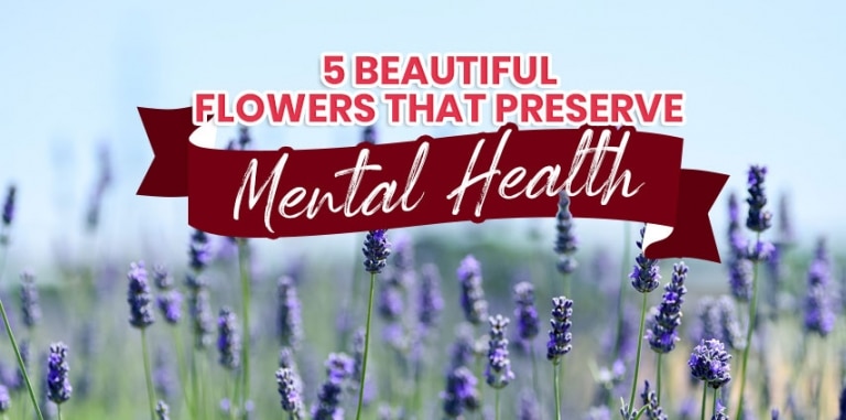 5 Beautiful Flowers that Preserve Mental Health | Blog | Flower Patch ...