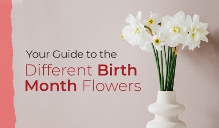 Your Guide to the Different Birth Month Flowers | Blog | Flower Patch ...