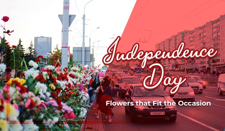 Independence Day Flowers that Fit the Occasion | Blog | Flower Patch ...