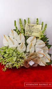 Orchids | Flower Patch - Online Flower Delivery Phillippines