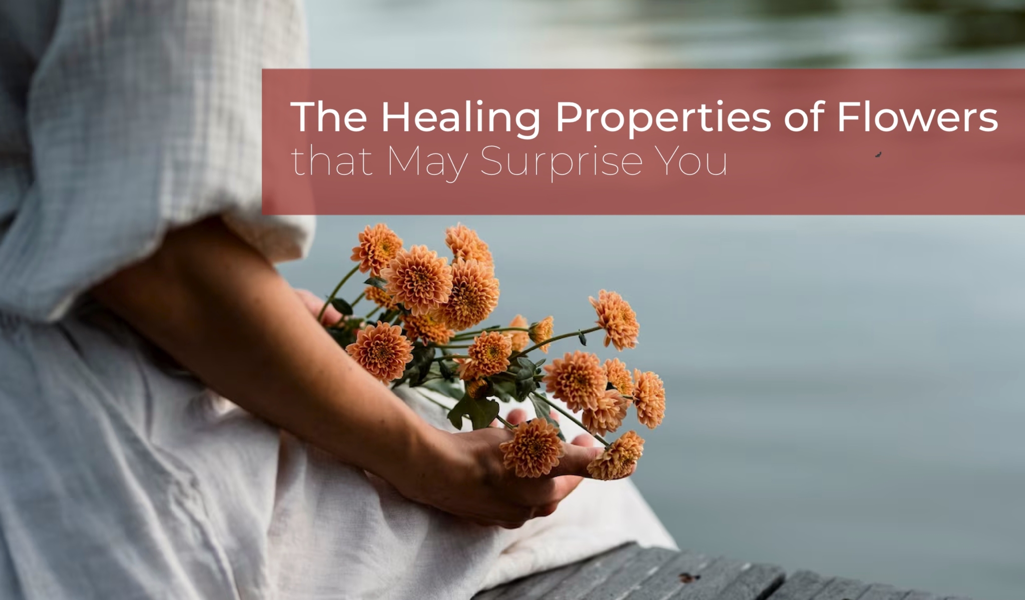 The Healing Properties of Flowers that May Surprise You | Flower Patch ...