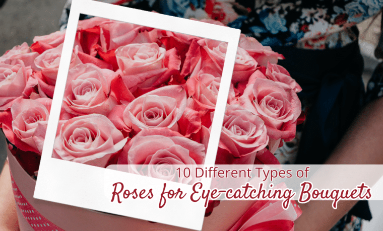 Flower Patch 10 Different Types of Roses 2025_rev1 | Flower Patch - Online Flower Delivery ...