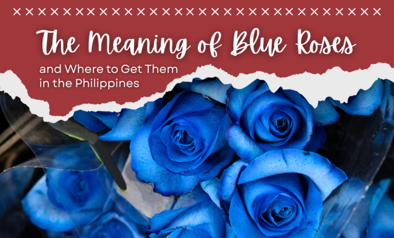 The Meaning of Blue Roses and Where to Get Them in the Philippines ...