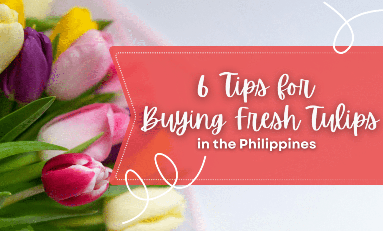 6 Tips for Buying Fresh Tulips in the Philippines | Flower Patch ...